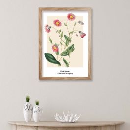 Pink Sunray Flower Art Print Marylebone | Snappy Snaps