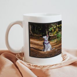 Best Dog Parent Photo Mug Norwich | Snappy Snaps